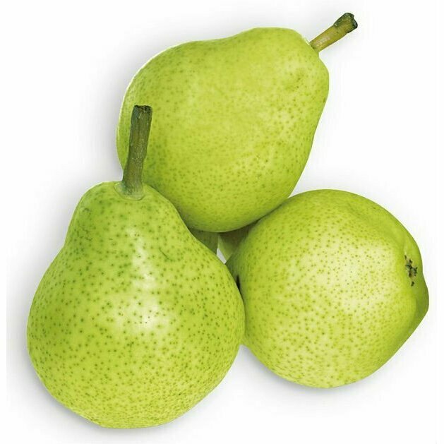 Pera Kg Packhams T.gra. é aqui na Barcelos