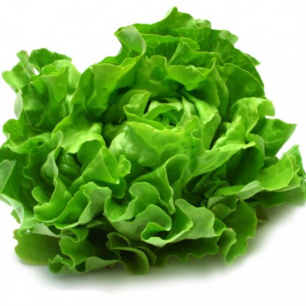 Alface Un é aqui na Barcelos