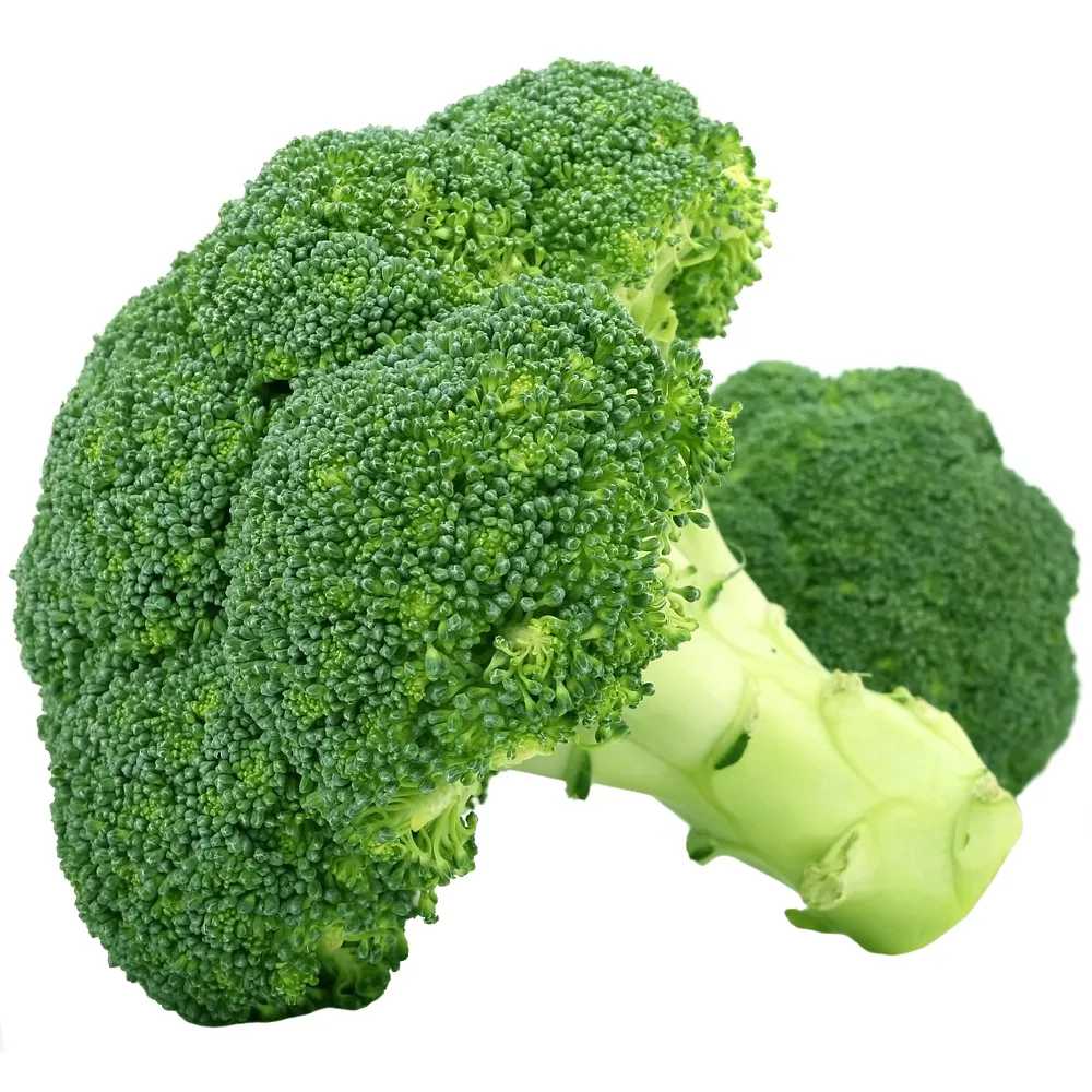 Brocolis Americano 1un é aqui na Barcelos